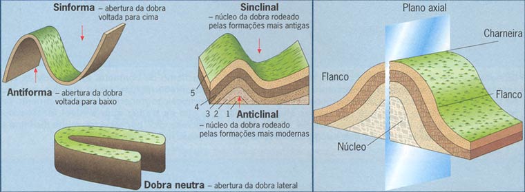 Biologia e Geologia: Dobras