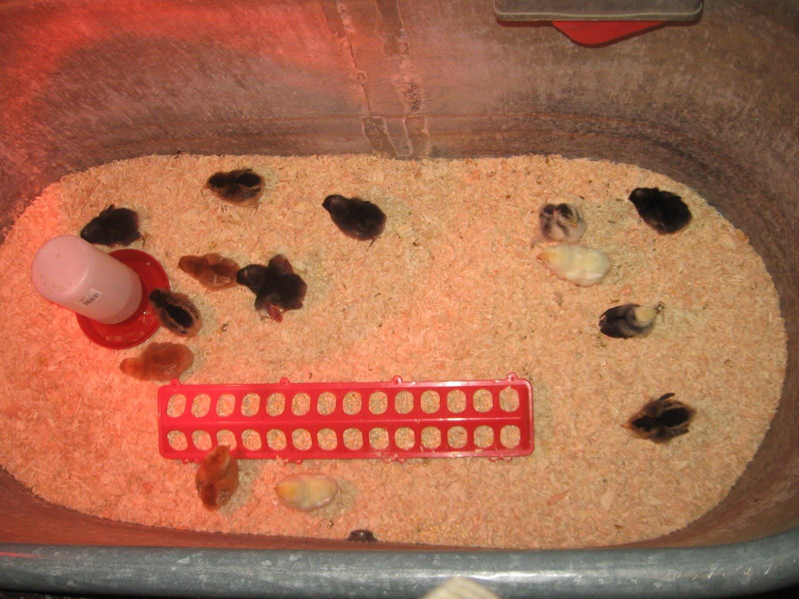 Three Lakes Farm: Welcome to our farm!
