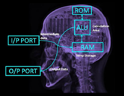 Lets explore 8051: The relation between human brain and microcontroller