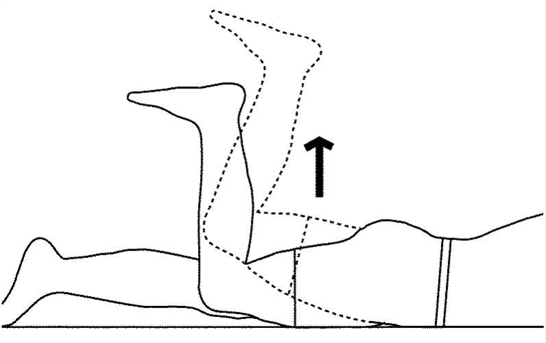 Eat, Run, Read: Hope and Physical Therapy