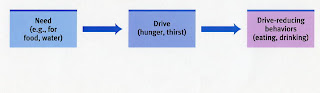 Motivation is Key!: Drive-Reduction Theory