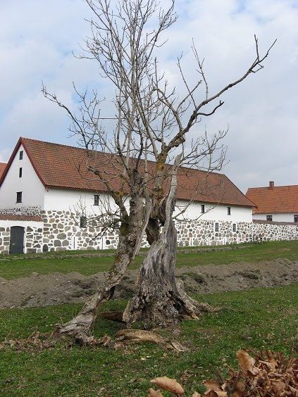 Vilse i världen: Trolleholms slott