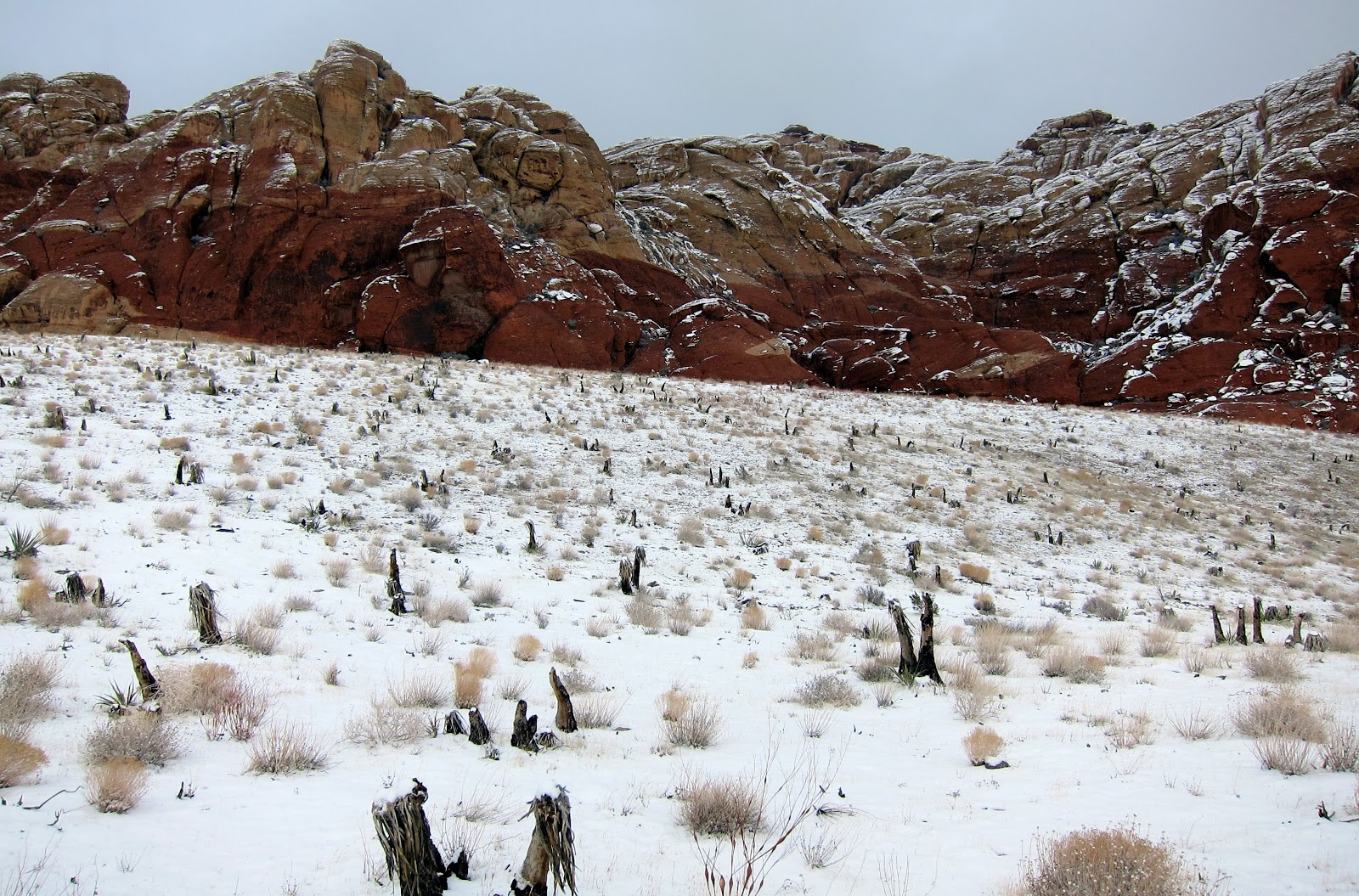 Mountain UltraLight: A Snowy Desert Scene