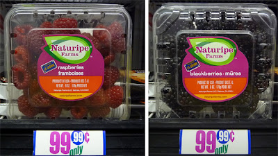 The 99 Cent Chef: 99.99% Organic