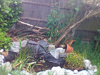 Phil and Bobby's Pond
