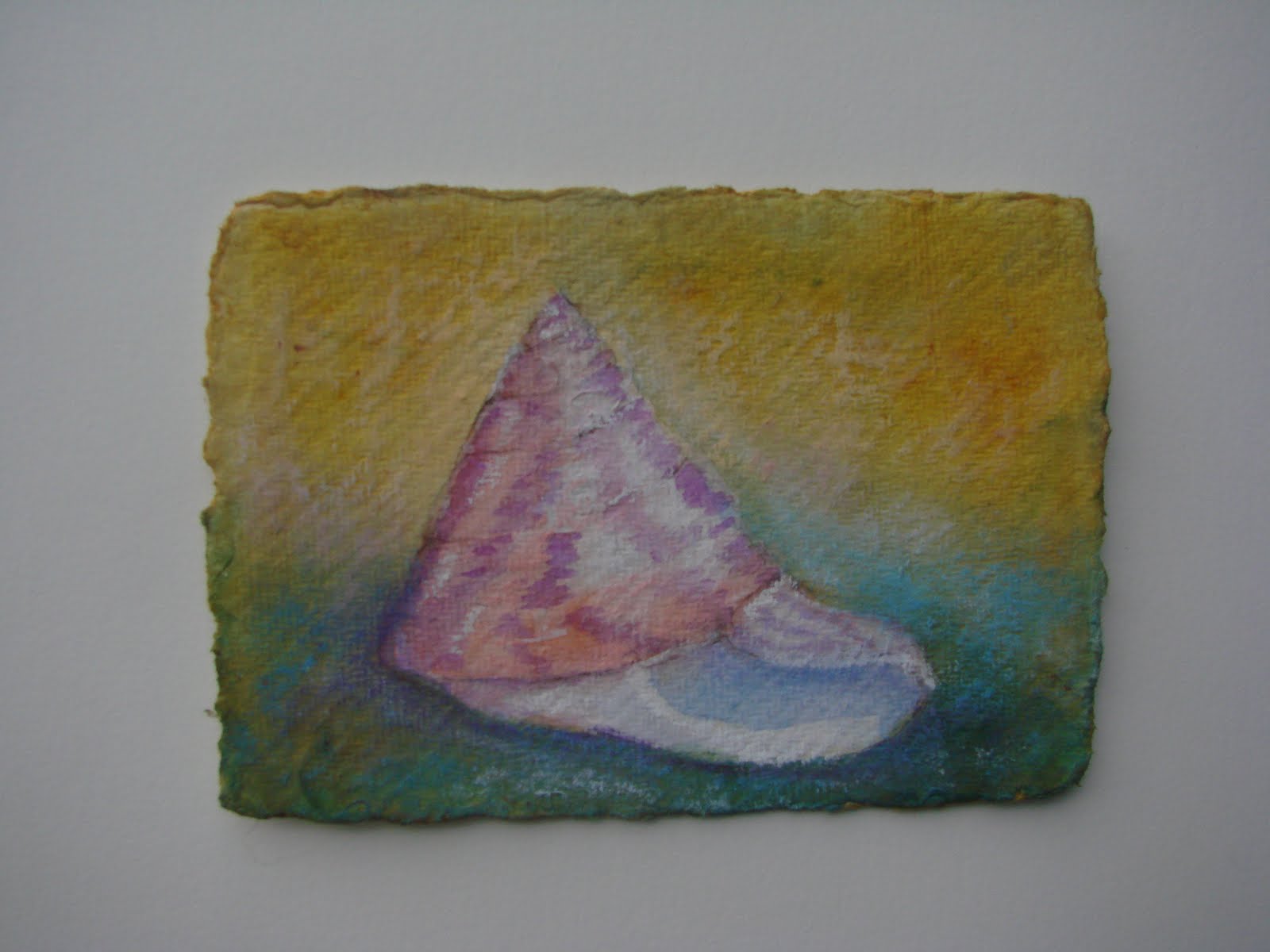 O'Shields Fine Art Daily Paintings: Sea Shells - Sanibel Island Florida ...