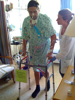 Steven Kalish Updates