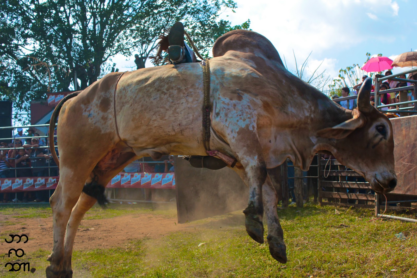 Visiones Fotográficas: Jaripeo en Juayua