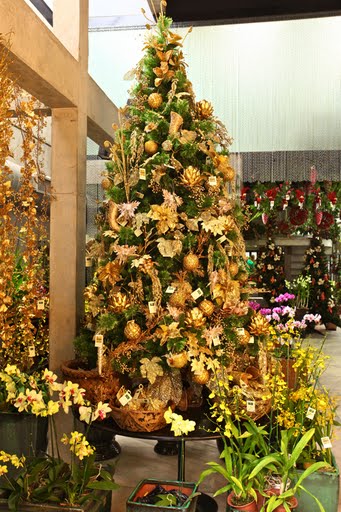 ॐ Jardim das Letras: Árvores de Natal - Verde Que Te Quero Verde...