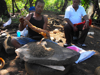 Pohnpei: Sakau en Pohnpei