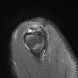 Radiology Cases: October 2009