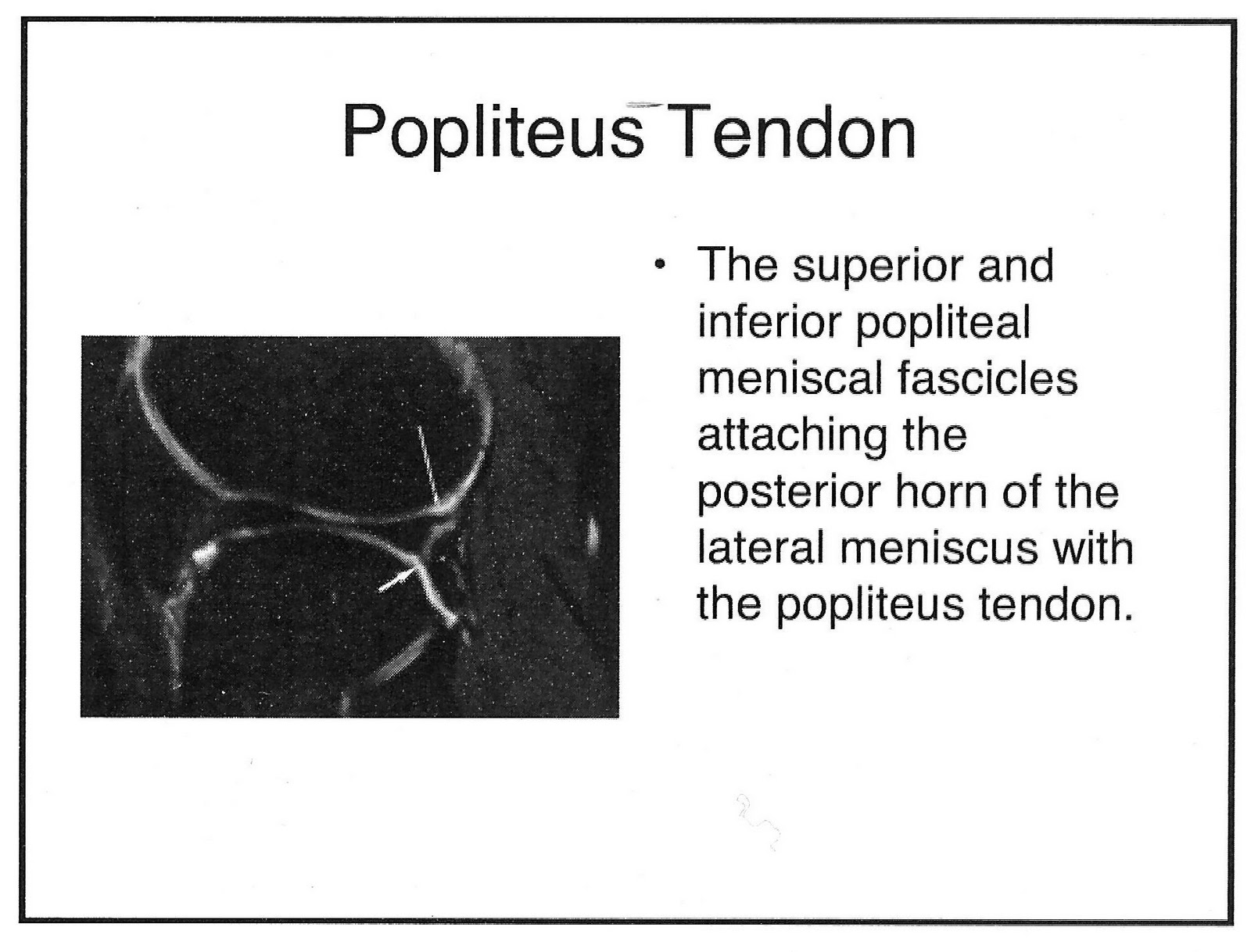 Radiology Cases: August 2010