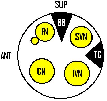 Radiology Cases: IAC Anatomy