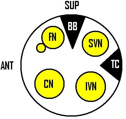 Radiology Cases: IAC Anatomy