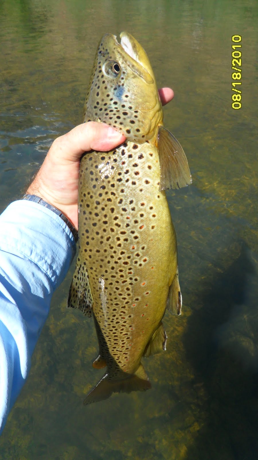 flowing waters: Western trout adventure with The Outdooress, Day 1