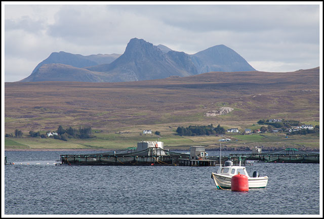 Inflatable Boat Journeys From Scotland: The Summer Isles and Tanera Mor