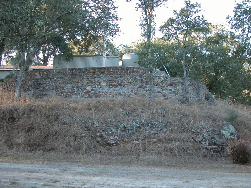 Roger's Ramblings: On the Rocks; gardening on a rock outcrop. Part 1