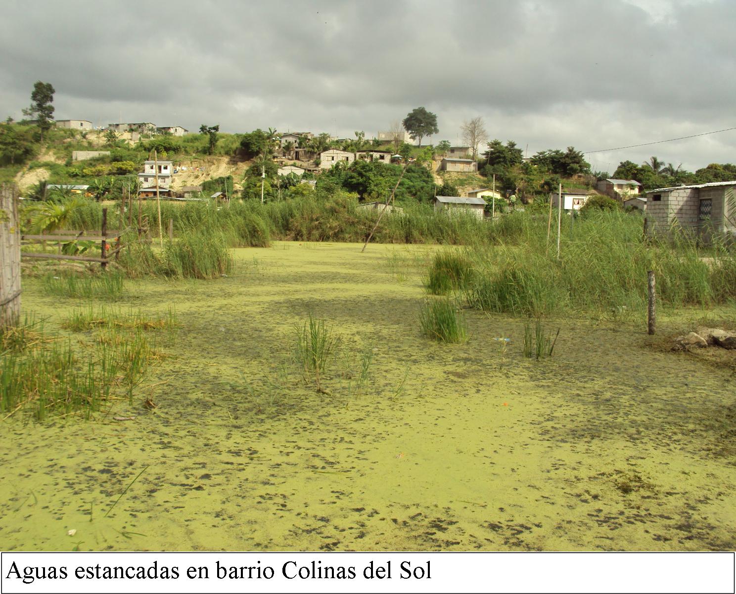 Tonchigüe al día: Colinas del Sol reclama atención.