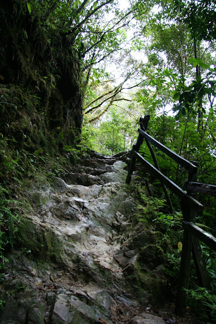 Climbing Mt Kinabalu: Timpohon Gate to 1.5km