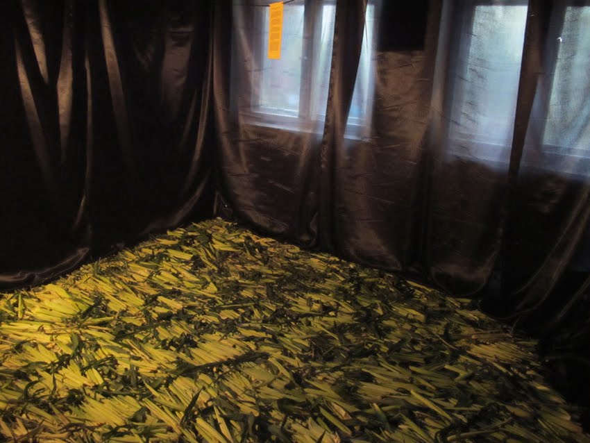 CARLOS GOMIS + ELSA MEDRA