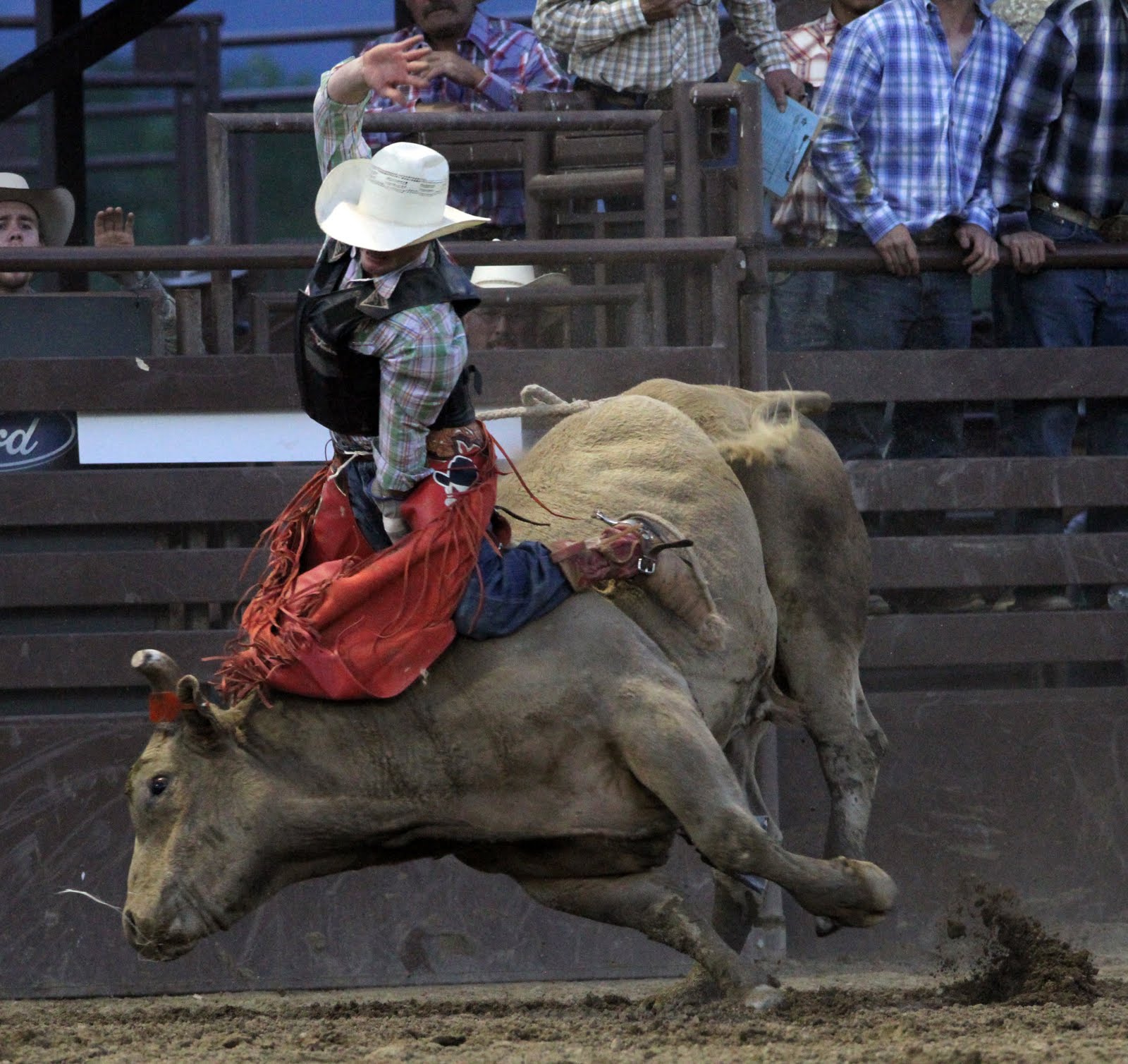 Ishkabibble: PBR Bull riding