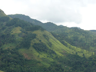 Natural beauty of sri lanka: Yatiyantota to Seaforth Colony Road ...