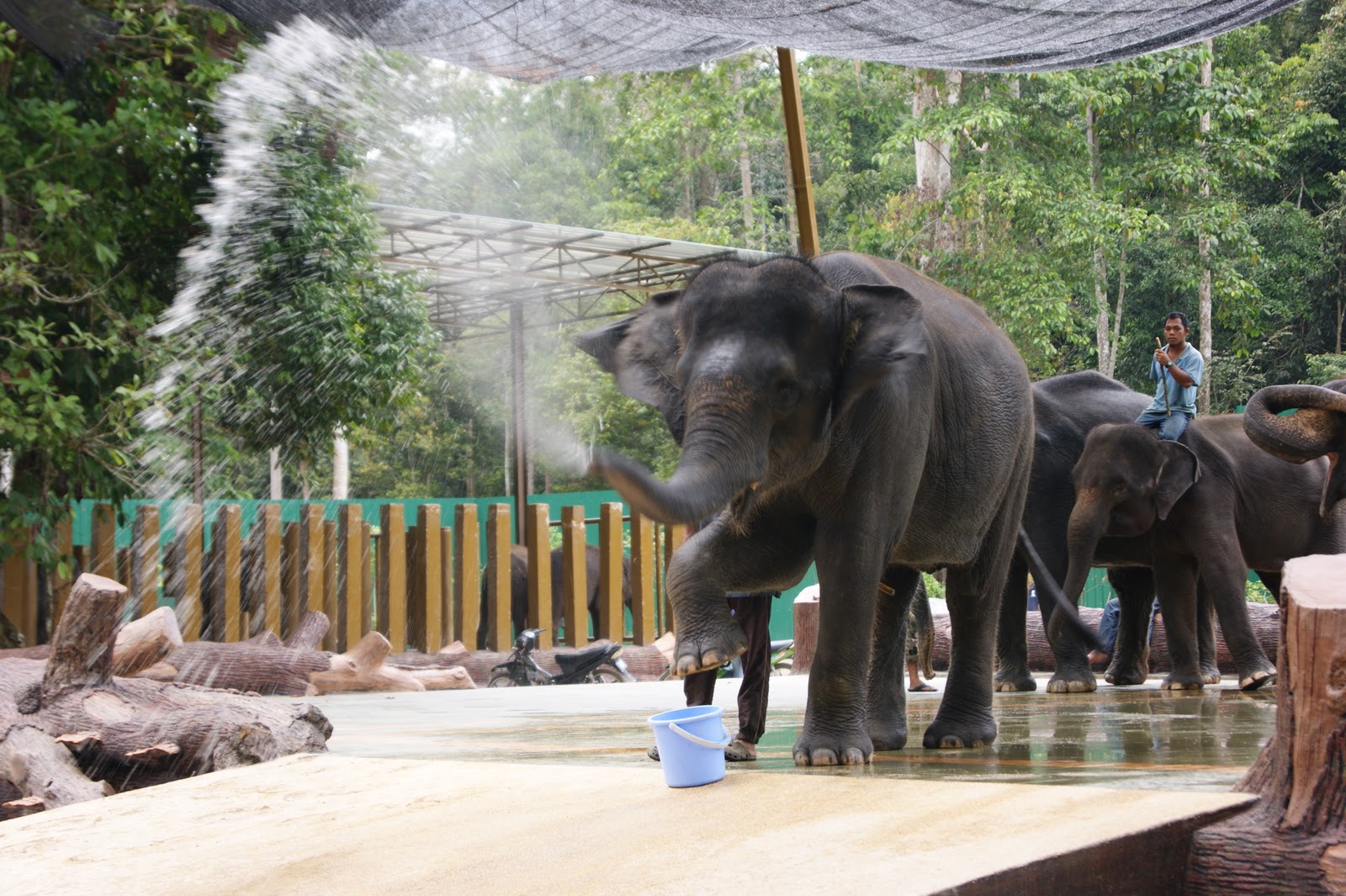 PhotoAjak: Kuala Gandah, Lanchang, Pahang