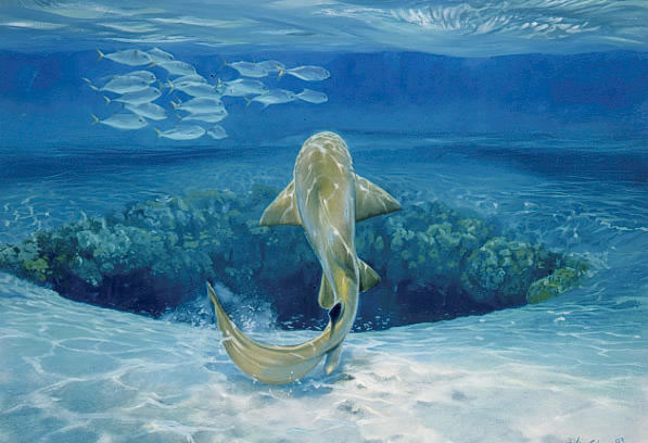 Destylou - Rarezas: Blue Hole - El Gran Hoyo Azul de Belice