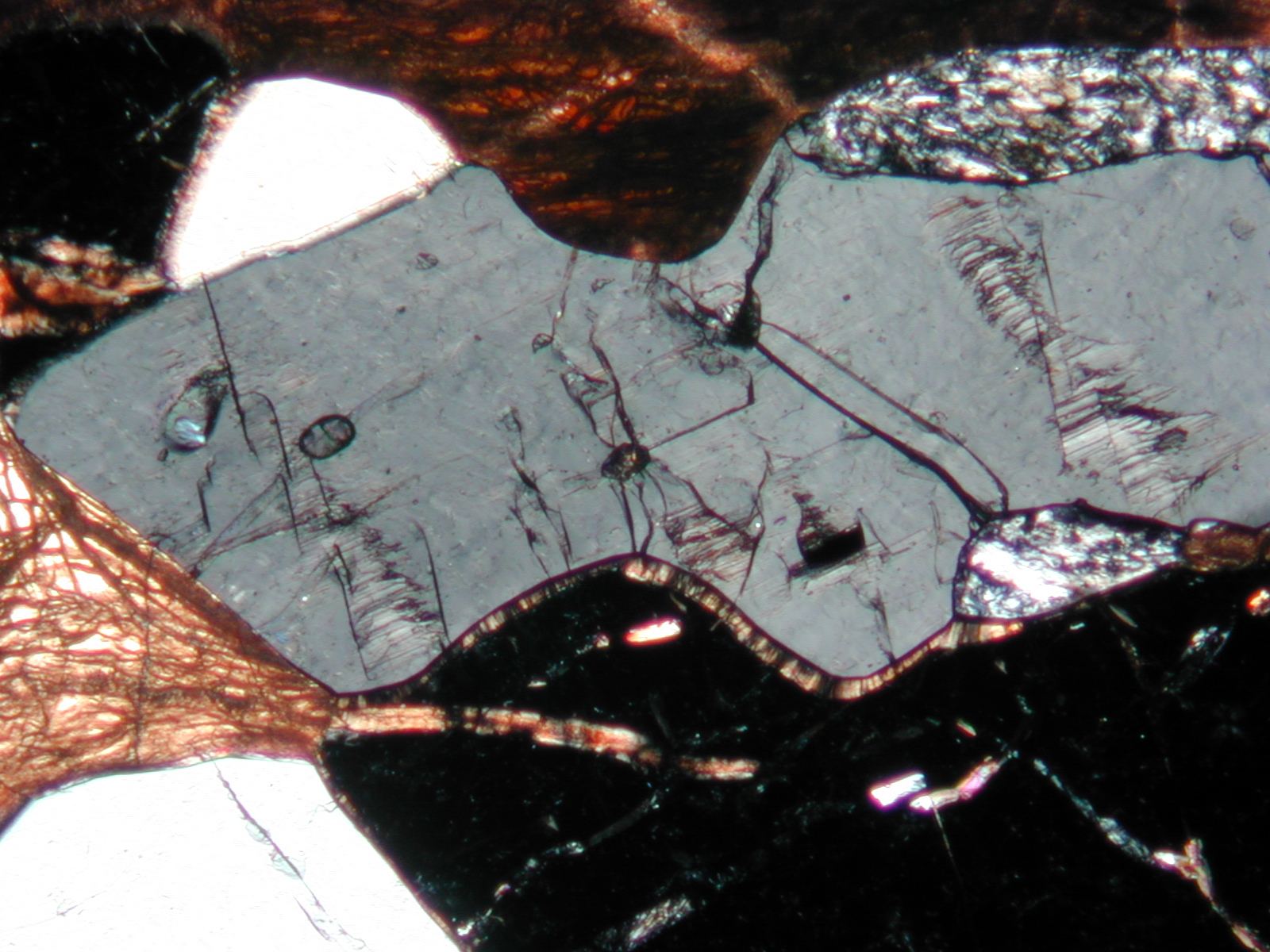 A MASSAGE WARNING // ELIZA KOCH: Coesite eclogites from South African ...