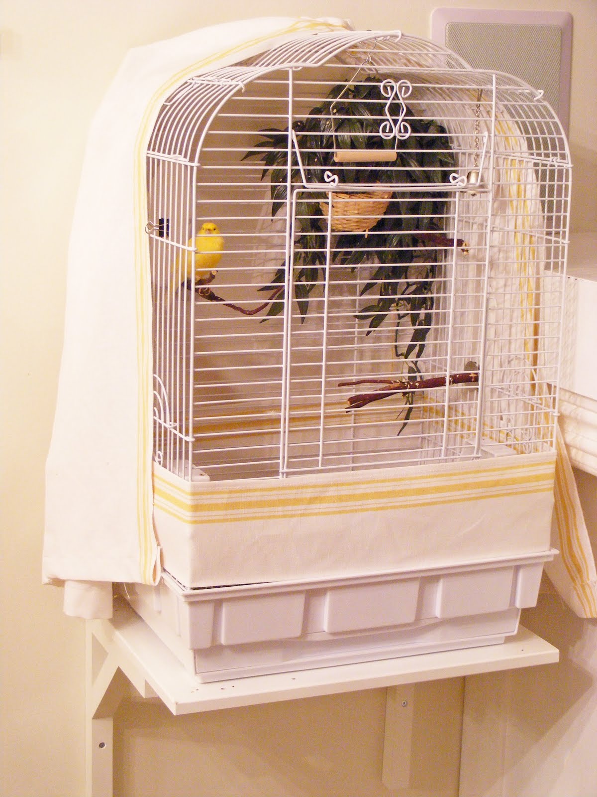 Canary Cage Cover and Seed Catcher