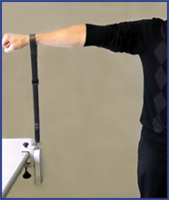 Torque about Force: Keeping a Constant Score on Muscle Strength?