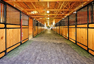 Stable Spotlight: Springfield Stables | Five O'Clock Somewhere