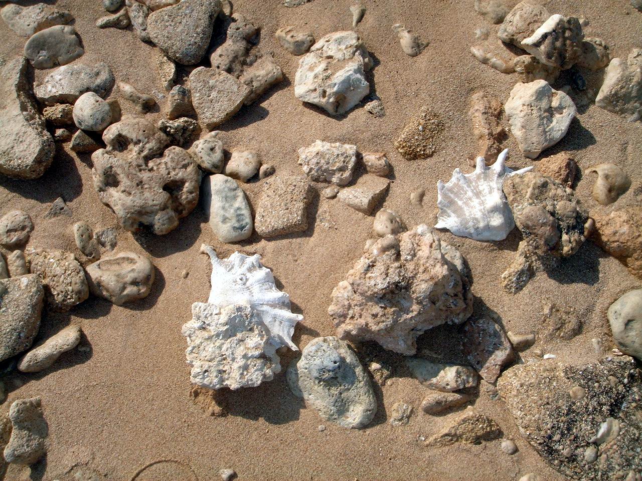 anna kostenko etnoart: anna-kostenko-painting