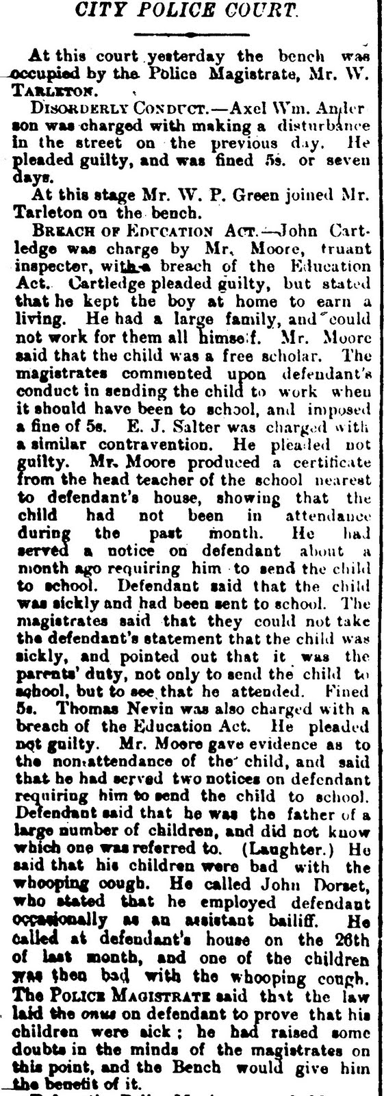 Thomas J. Nevin | Tasmanian Photographer: Thomas Nevin 1886: assistant ...