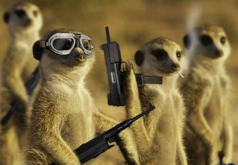 IDS Open Source Suricata 1.0