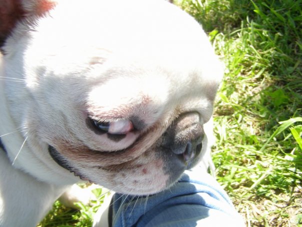 Mondo Mongo: Il vero volto della Freak Family