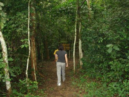 Adventures in Ghana: Butterfly Sanctuary and Bobiri Forest