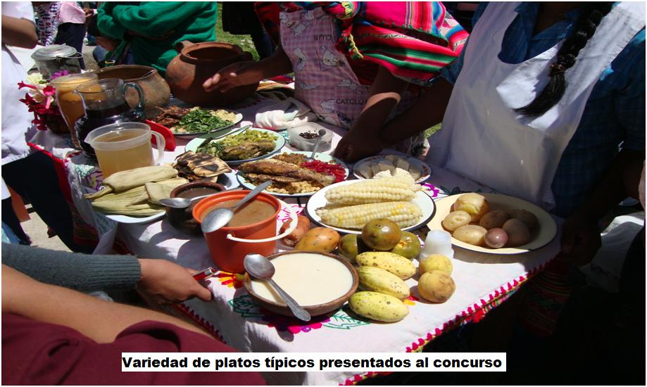 ONG-IDIR: CONCURSO DE COMIDAS TÍPICAS