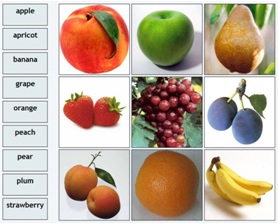 English at the Park: Fruit (3rd and 4th grade)