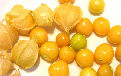 Diary of a Locavore: Ground cherry pie
