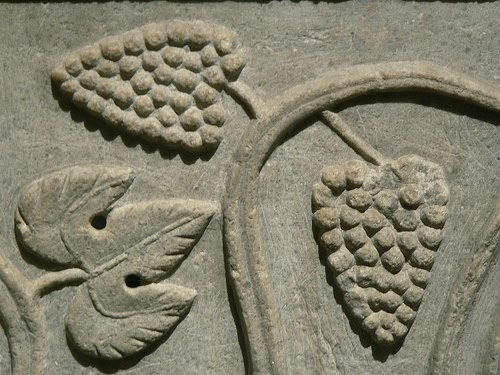 French Vocabulary Illustrated: pampre