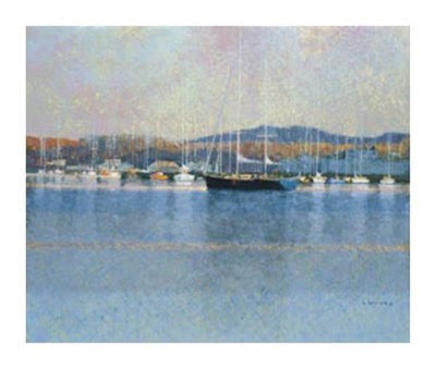 French Vocabulary Illustrated: rade