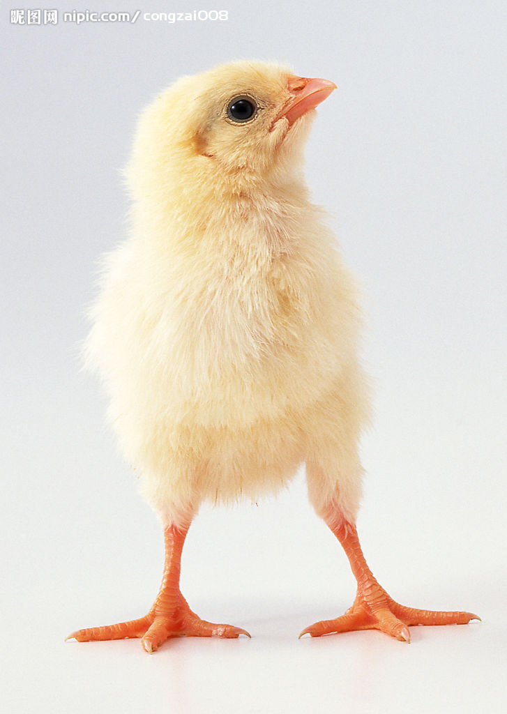 Escalofriorgasmicosmicuántico: enero 2011