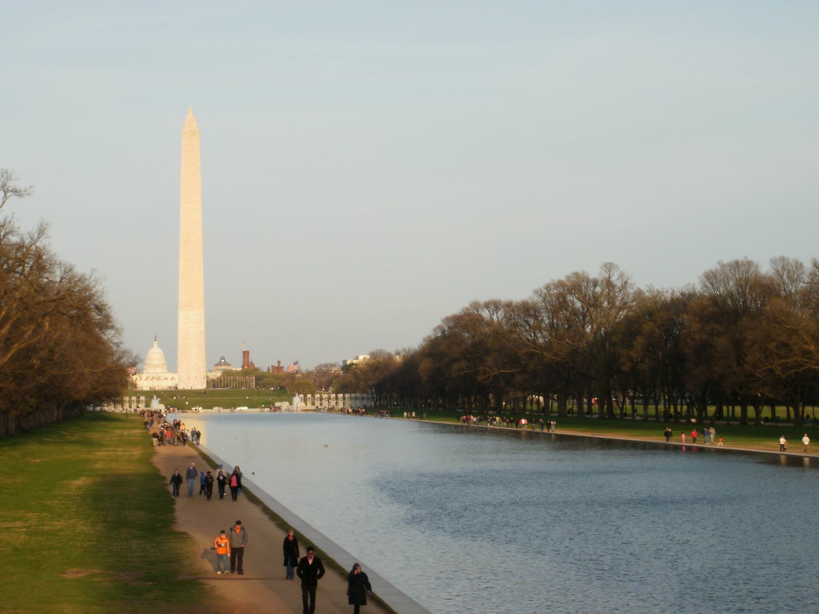 Christine Regan Landscapes: Beautiful Landscape: Cherry Blossoms in ...