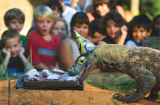 Funny and Crazy Animal Photos: Funny Lizard Birthday Party