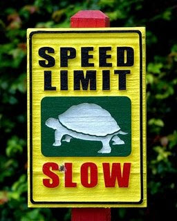 Funny and Crazy Animal Photos: Funny Tortoise Turtle Sign