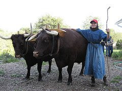 Por el Poder de Su Presencia (Rev. Lorena Gamboa): La pareja bajo un ...