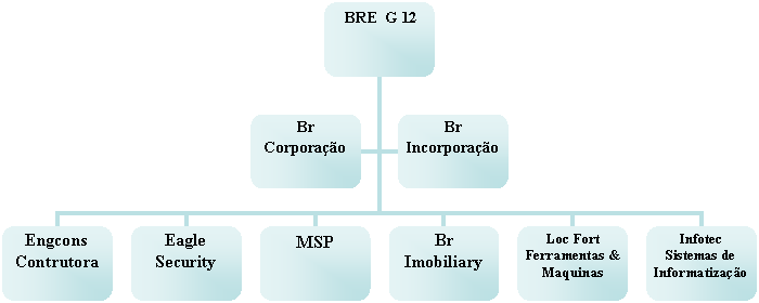 GBRE S.A ®: Organograma / GBRE S/A.