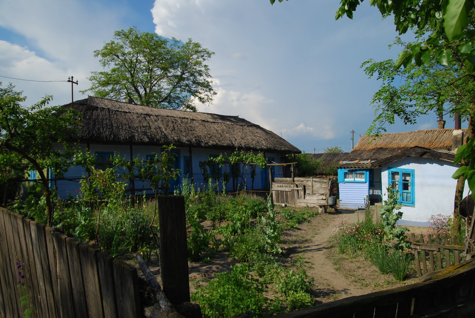 Padurea Letea – Life, Adventures and Bikes.