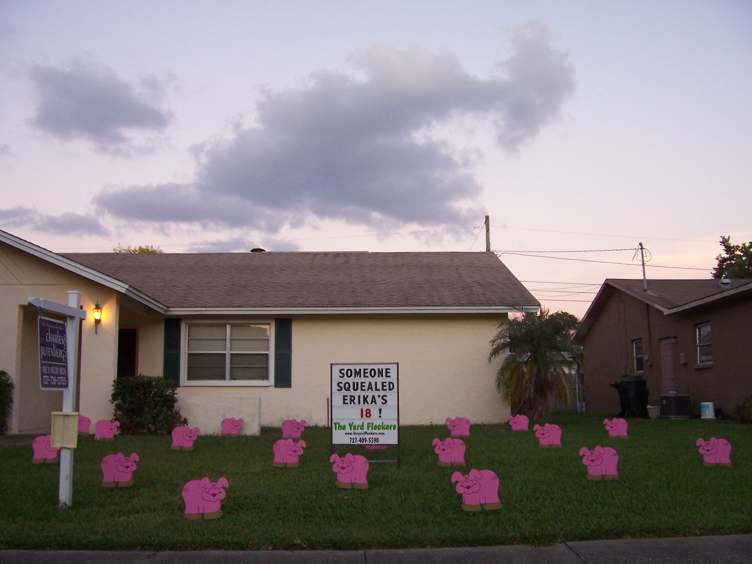 *THE YARD FLOCKERS* Pinellas County, Fla 727-409-5590 WWW ...